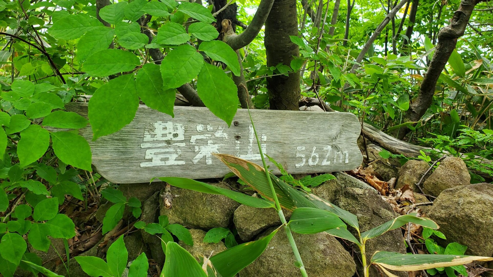 豊栄山 / agaさんの豊平山（焼山）の活動データ | YAMAP / ヤマップ