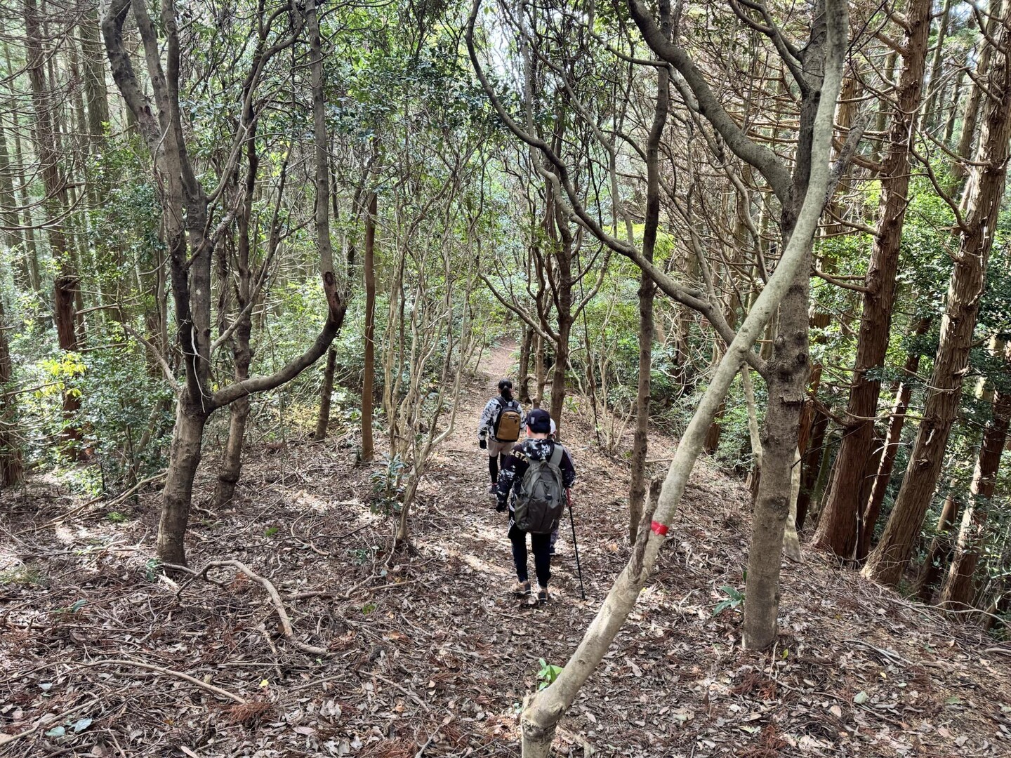 十坊山 / Ryu.Yamaさんの二丈岳・十坊山の活動データ | YAMAP / ヤマップ