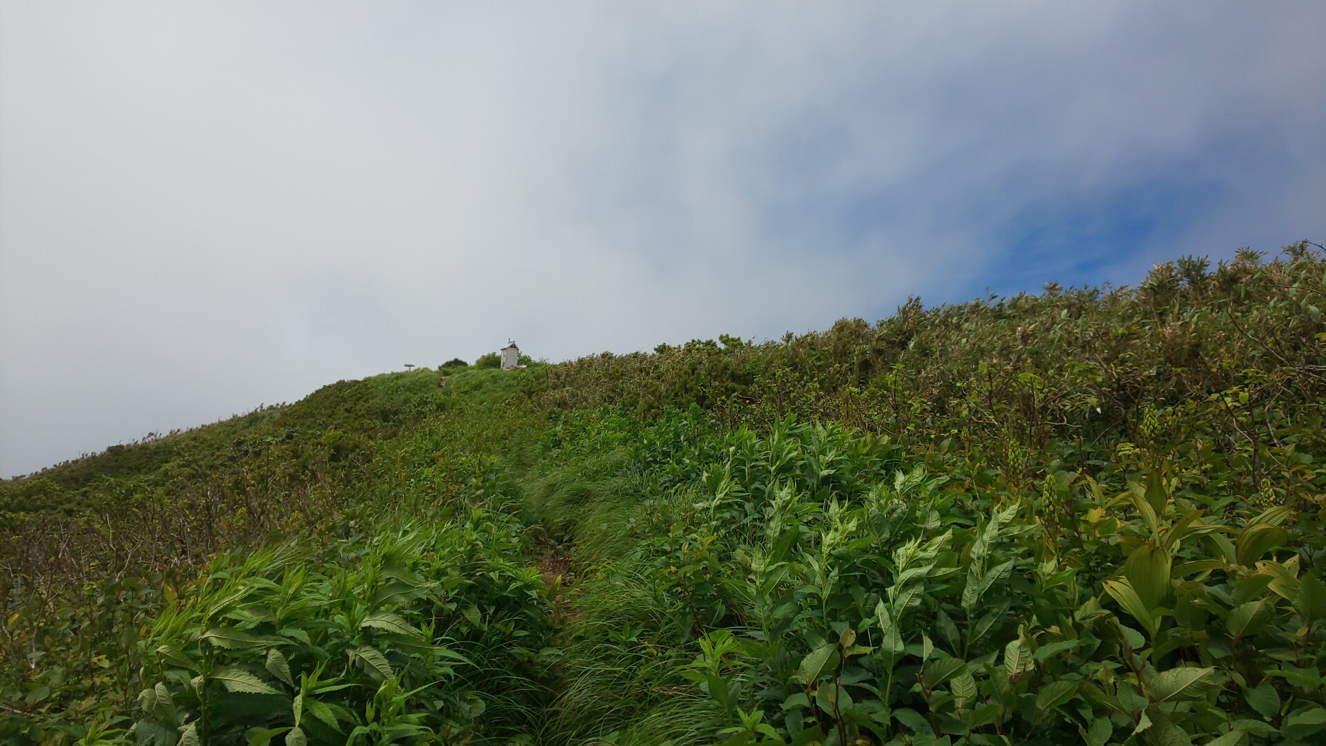 コロンブスピーク・能郷白山 / ypkunさんの能郷白山の活動データ | YAMAP / ヤマップ