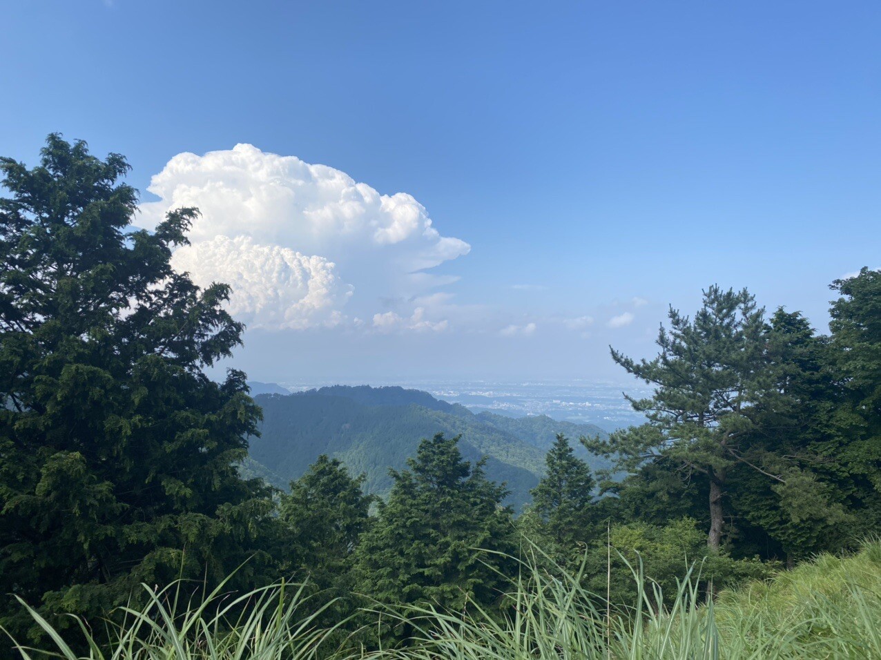 大山 / Mr.Fujiさんの大山の活動データ | YAMAP / ヤマップ