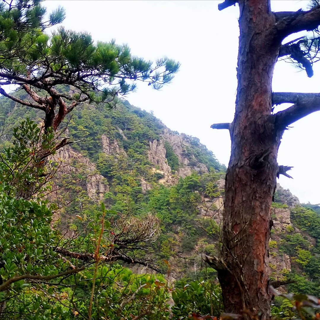 男らしい岸壁に守られた女体山 / ta.hayaさんの矢筈山・女体山の活動データ | YAMAP / ヤマップ