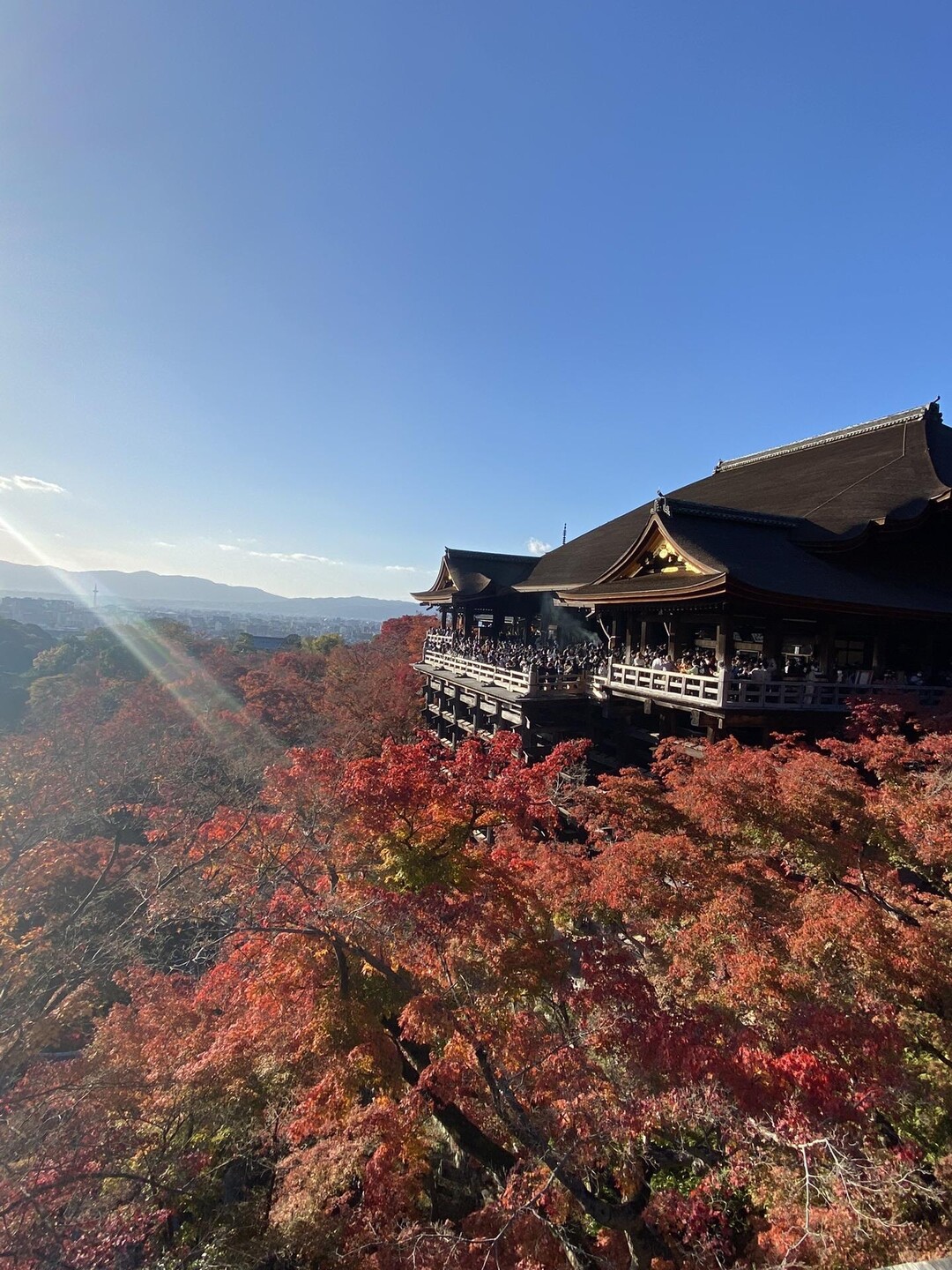 京都へ行ってきました♪世界遺産，清水寺と... / 𓂃rose 𓂃𓅪さんのモーメント | YAMAP / ヤマップ