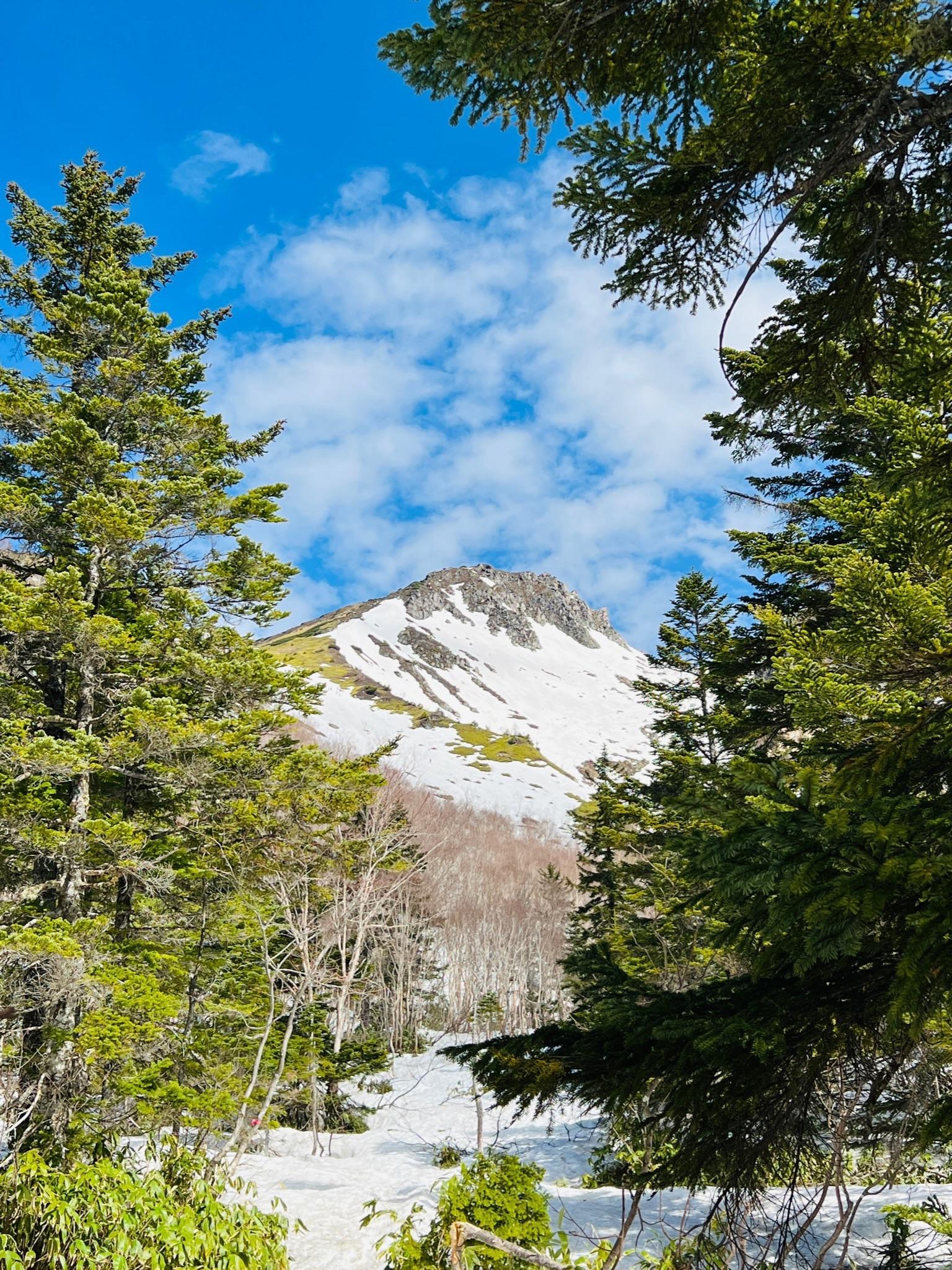 4/29(Mon.) おはよございます ... / 🔺MASAPさんのモーメント | YAMAP / ヤマップ