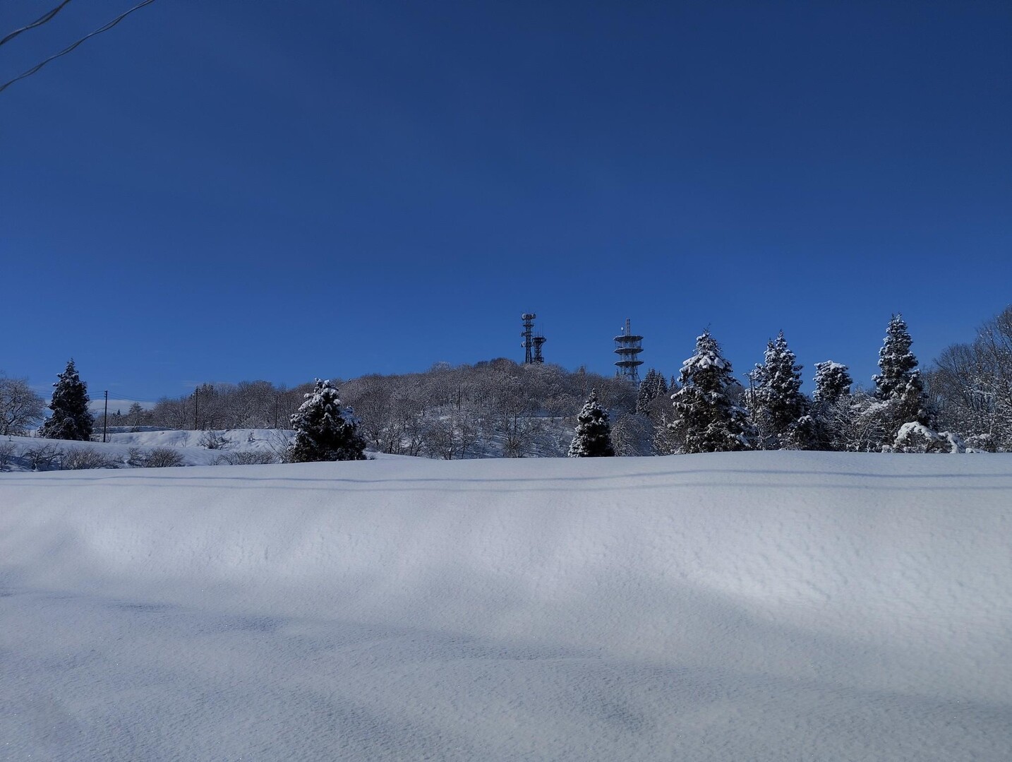 2025、初の山本山 / ta-さんの時水城山・丸山の活動日記 | YAMAP / ヤマップ