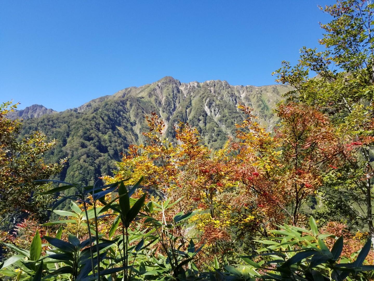 tako2019さんの投稿したフィールドメモ | YAMAP / ヤマップ