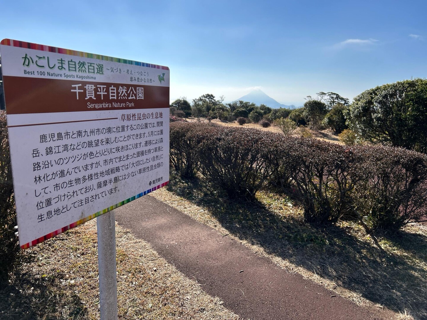 ⛰️ 桜島の標高(1117m)の半分の(577m)の観光名所 / 963さんの尾巡山の活動データ | YAMAP / ヤマップ