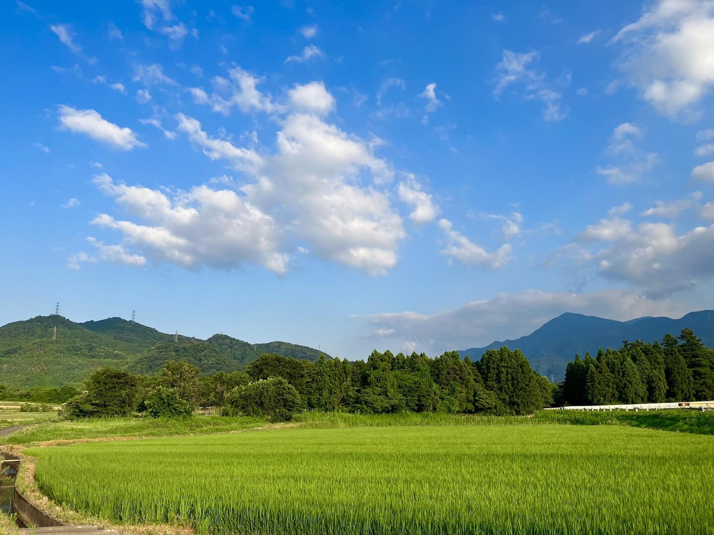 8年間、ありがとう🤝 / Naluさんの五頭山・菱ヶ岳・宝珠山の活動データ | YAMAP / ヤマップ