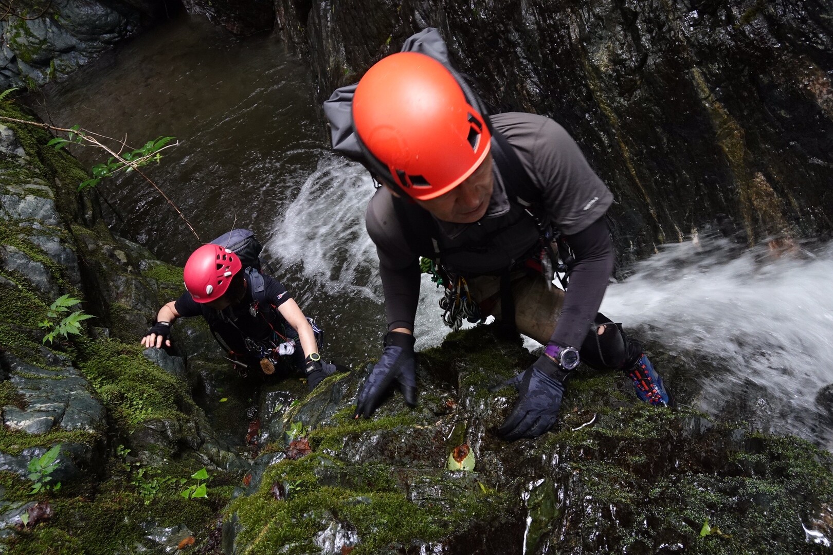 土沢三ノ沢 世附川水系 / TACさんの三国山・大洞山・不老山の活動データ | YAMAP / ヤマップ