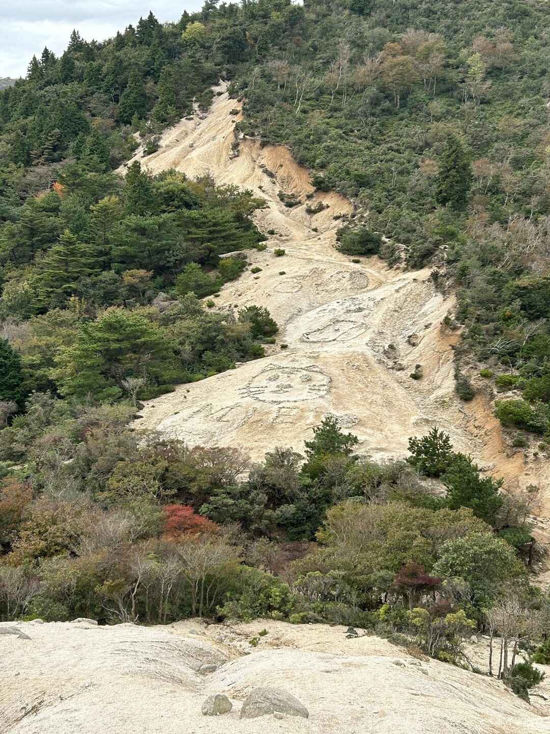 釈迦ヶ岳・猫岳・羽鳥峰 / yt.crowさんの釈迦ヶ岳の活動データ | YAMAP / ヤマップ