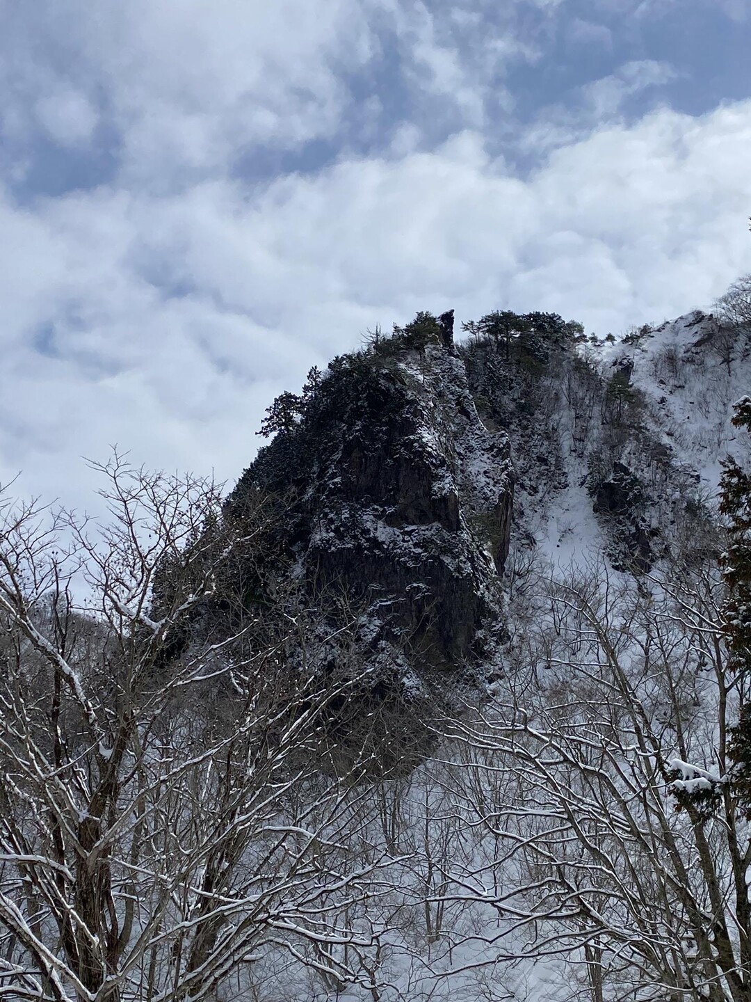 雪の医王山、大沼〜三蛇ヶ滝〜桔梗ヶ原を堪能😍 / TARUMIさんの医王山・白兀山・箱屋谷山の活動データ | YAMAP / ヤマップ