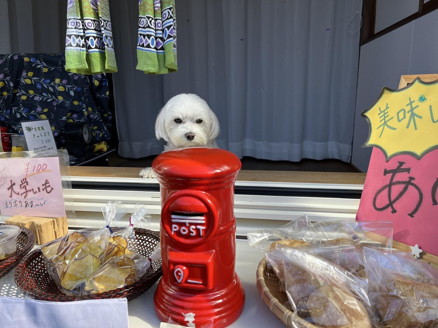 御岳山お散歩 / Jimamanさんの大岳山・御岳山・御前山の活動データ | YAMAP / ヤマップ