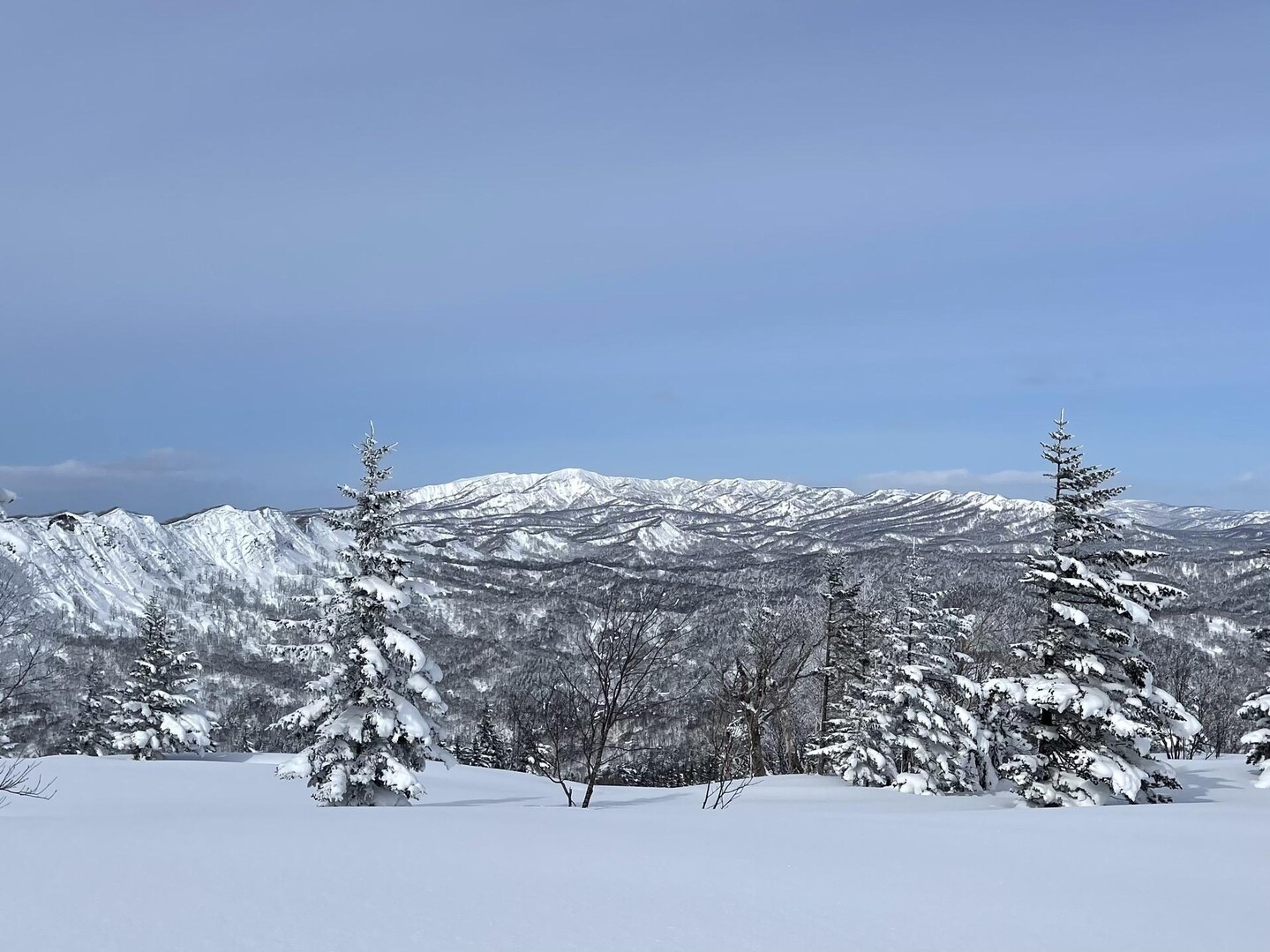 Smile 相雲内岳 / momo🐦さんのピッシリ山の活動データ | YAMAP / ヤマップ