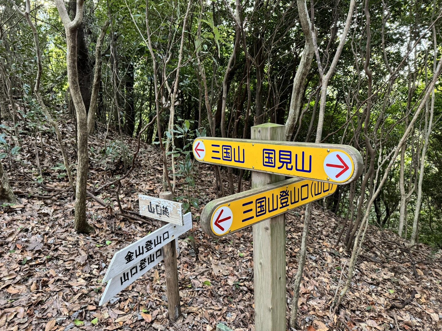 みくに☜☞くにみ🤔💭どっちから行こう？三国山・国見山 / ぽち太郎さんの前門岳・高取山・文字岳の活動データ | YAMAP / ヤマップ