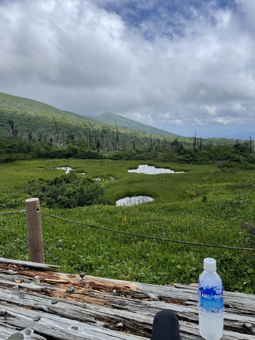 前山・杉ヶ峰・屏風岳 / bateniceさんの蔵王山・雁戸山・不忘山の活動データ | YAMAP / ヤマップ