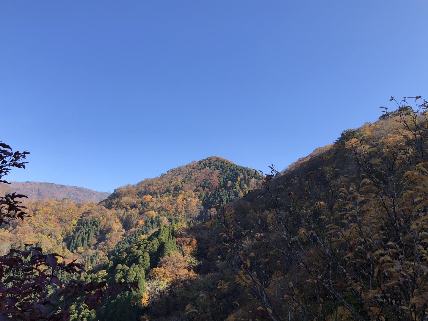 米子山・よしの山 / たかぴーさんの明覚山の活動データ | YAMAP / ヤマップ