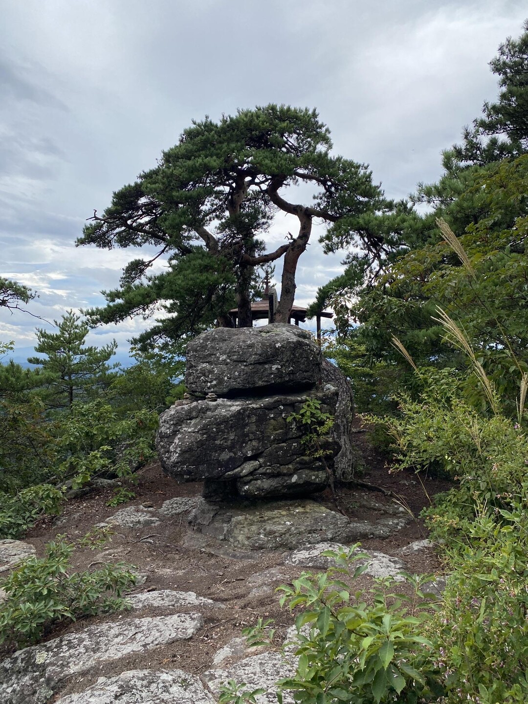 閼伽流山 / Pat AKA Cavemanさんの平尾富士（平尾山）・閼伽流山の活動データ | YAMAP / ヤマップ