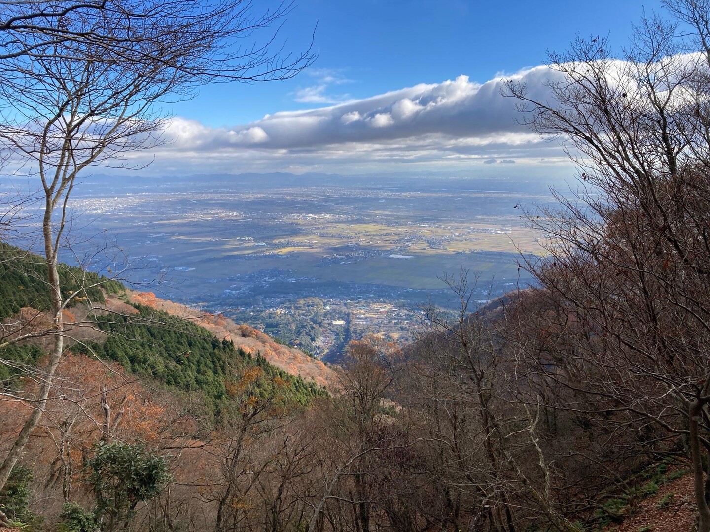 北尾根P826峰・小倉山・養老山・三方山 / PGFT倶楽部さんの養老山・笙ヶ岳・三方山の活動データ | YAMAP / ヤマップ