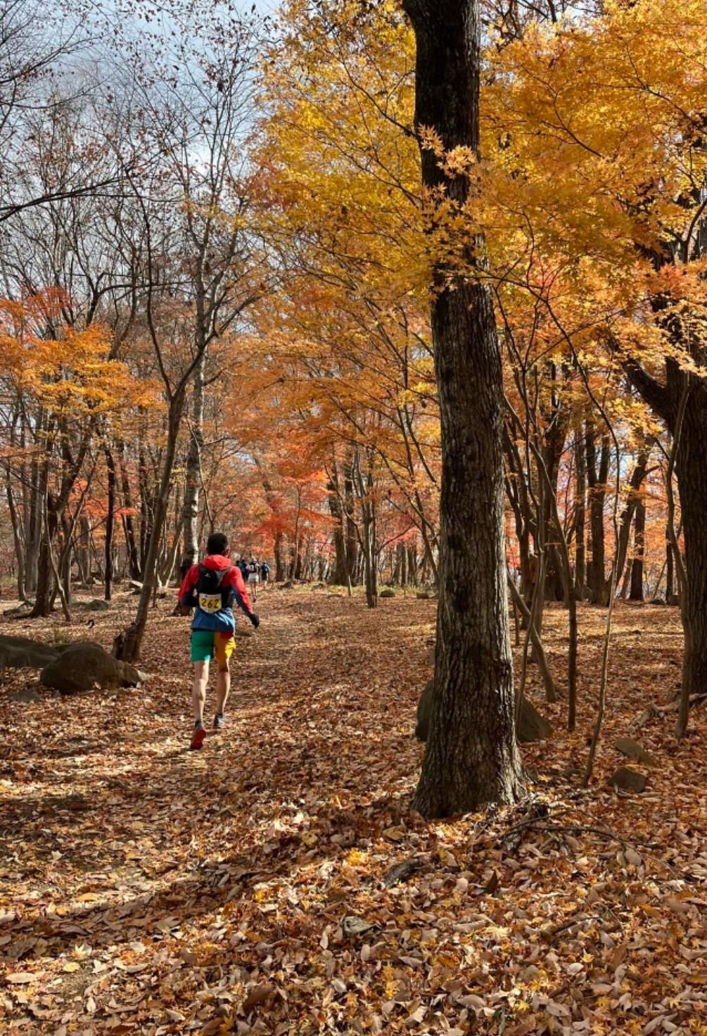 ここまで褒められると照れちゃいますhtt... / はしります！さんのモーメント | YAMAP / ヤマップ