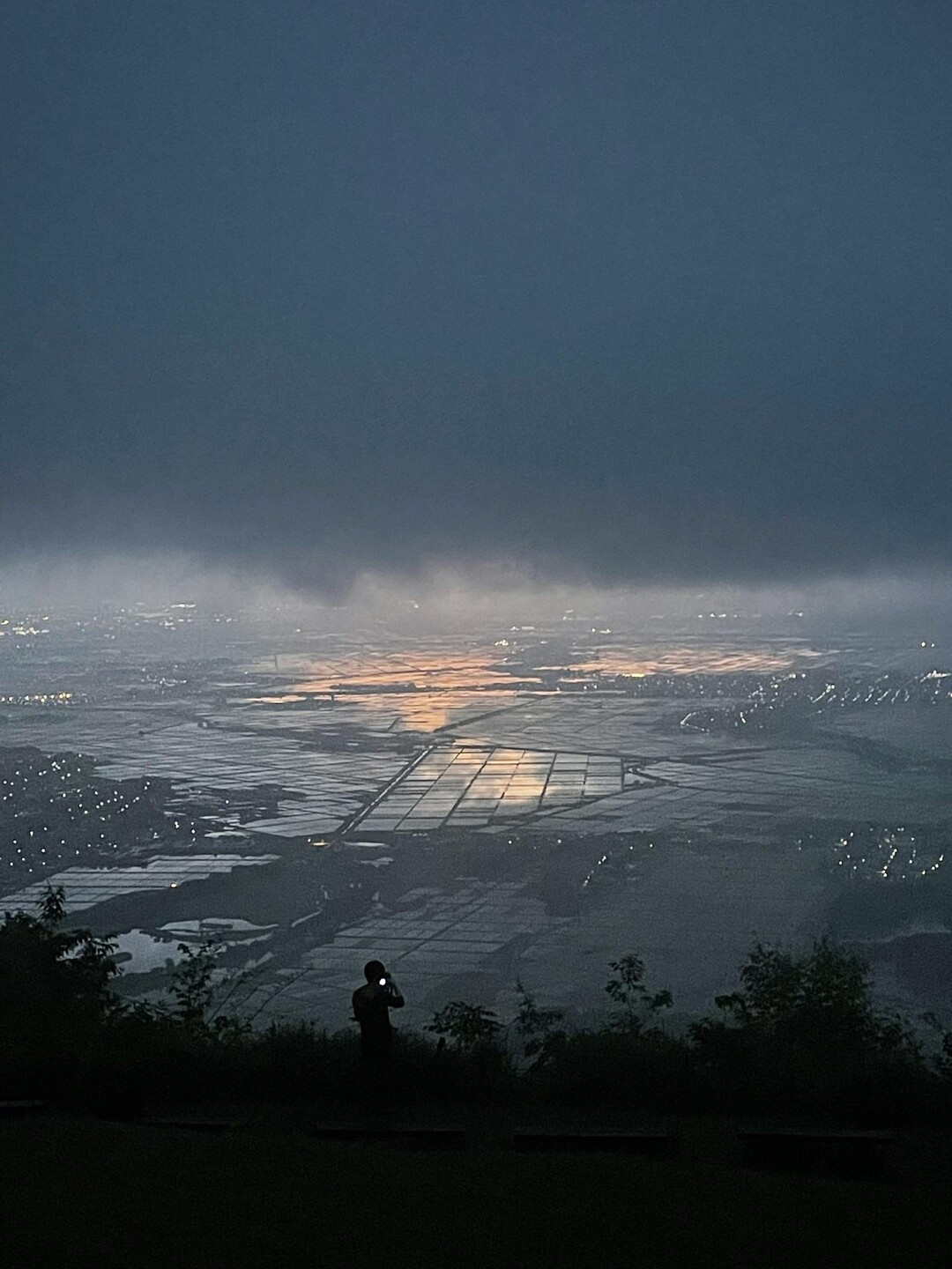 角田山（長者原山） / cococoさんの角田山の活動データ | YAMAP / ヤマップ