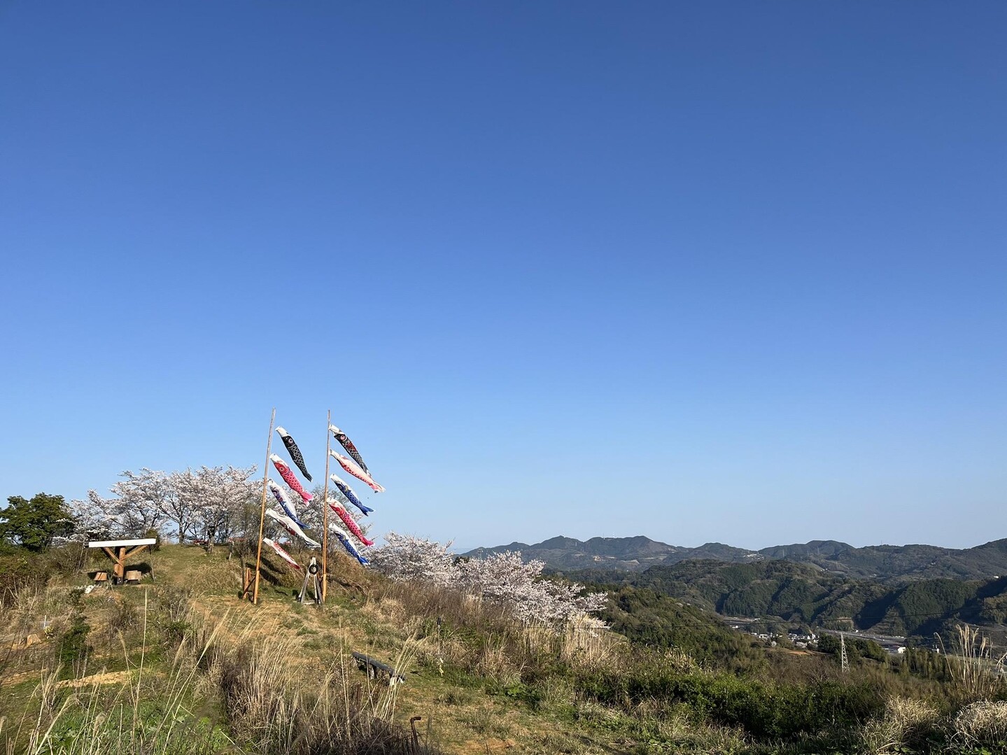 加茂山 / mochiさんの加茂山・高峰ノ森の活動データ | YAMAP / ヤマップ