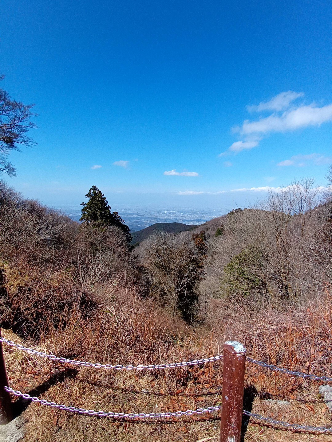 よし！金剛山に行こう! / oshoさんの金剛山・二上山・大和葛城山の活動データ | YAMAP / ヤマップ