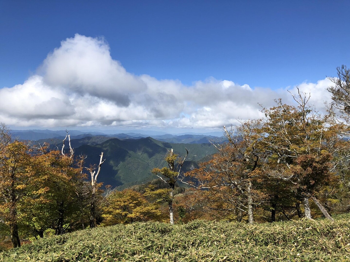 紅葉🍁 / ERINさんのモーメント | YAMAP / ヤマップ