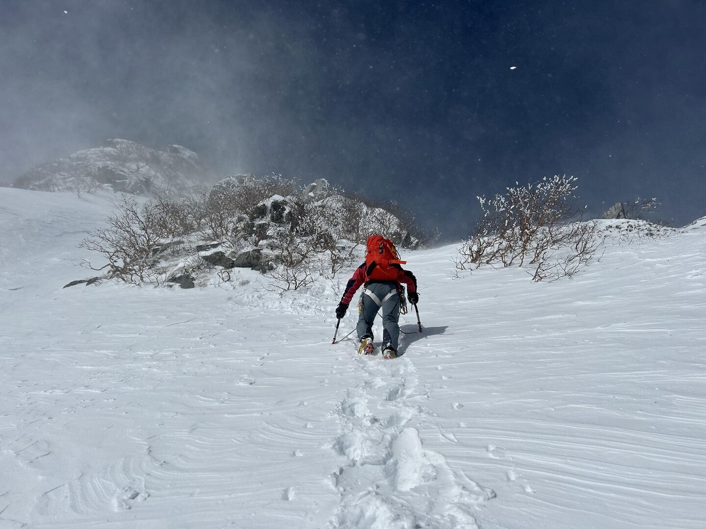 サギダル尾根へGO‼️ 爆風で宝剣岳はパス / ryosui_ さんの木曽駒ヶ岳・空木岳・越百山の活動データ | YAMAP / ヤマップ
