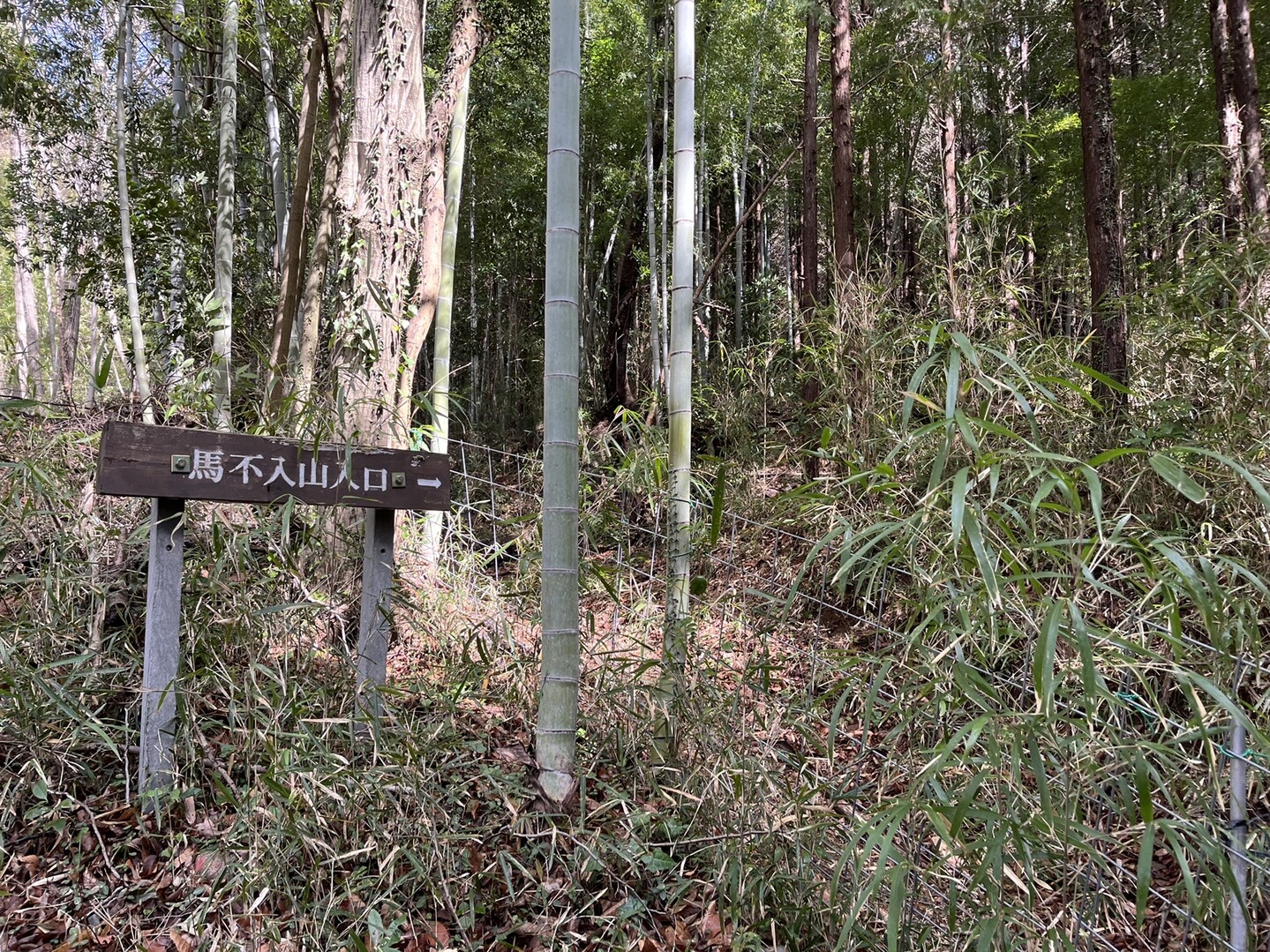 Moroさんの投稿したフィールドメモ | YAMAP / ヤマップ