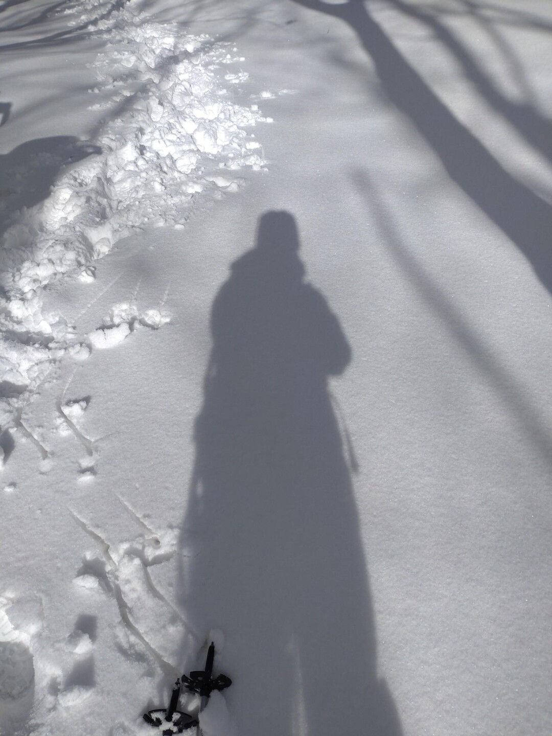 20230121 広島県 比婆山・烏帽子山 / Kyo_omiさんの比婆山・立烏帽子山・吾妻山の活動データ | YAMAP / ヤマップ