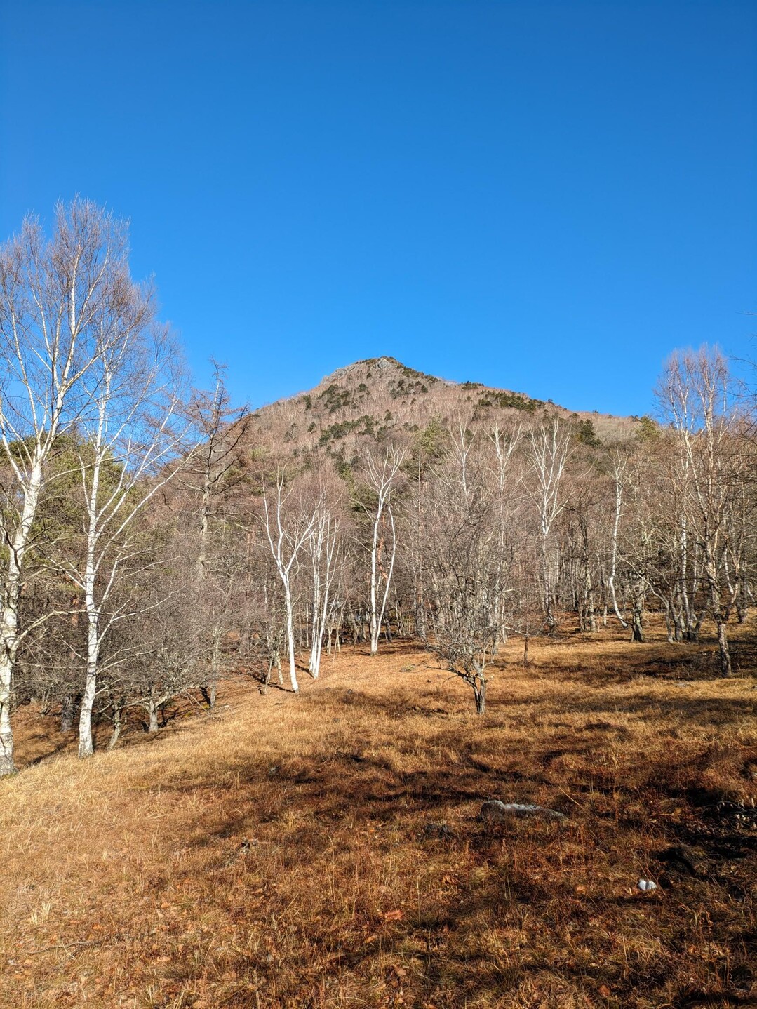 乾徳山 / Sam&Azuさんの乾徳山・黒金山の活動データ | YAMAP / ヤマップ