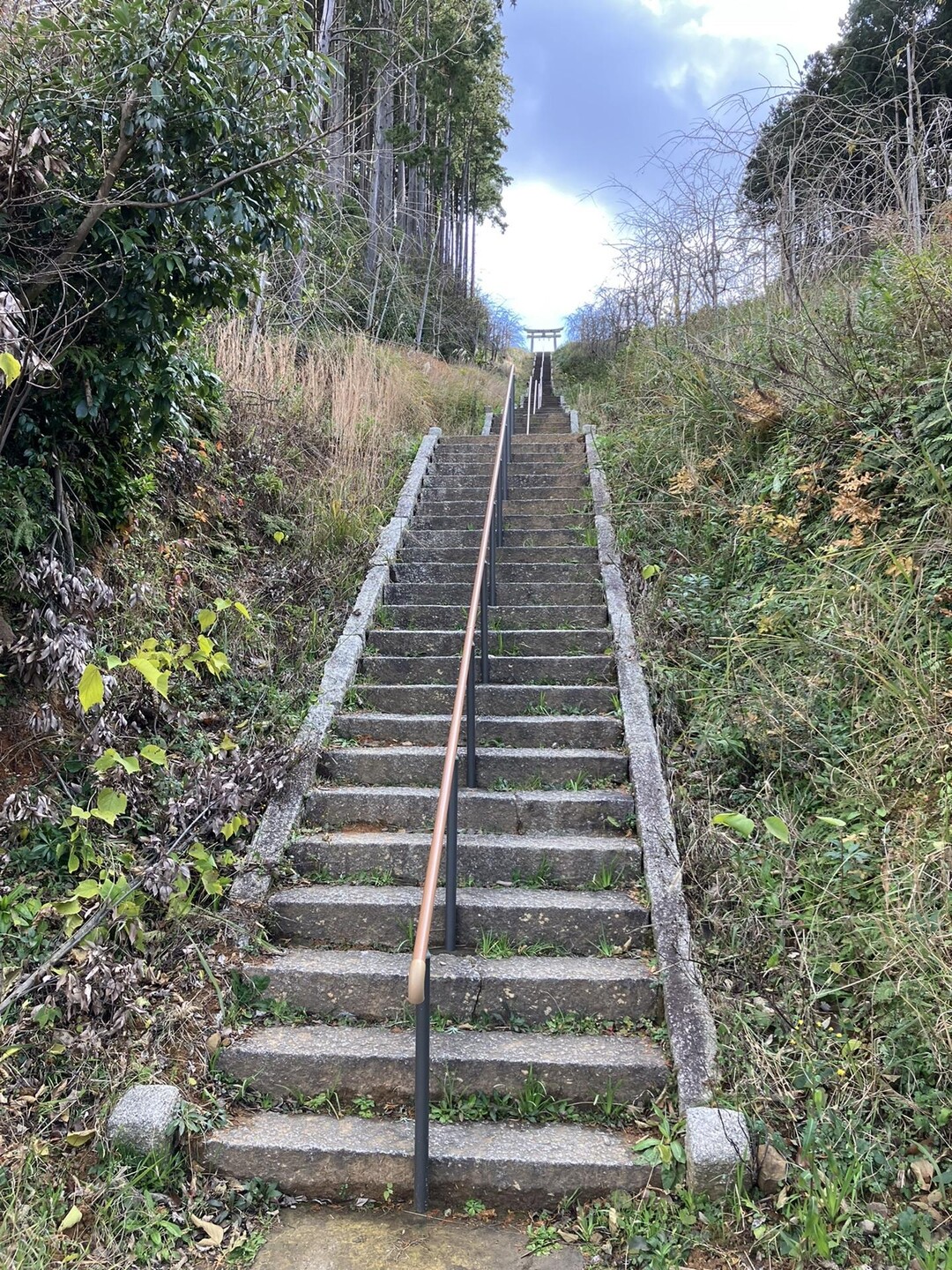 今日は足腰訓練！1段飛ばしで、スクワット... / チカさんさんのモーメント | YAMAP / ヤマップ