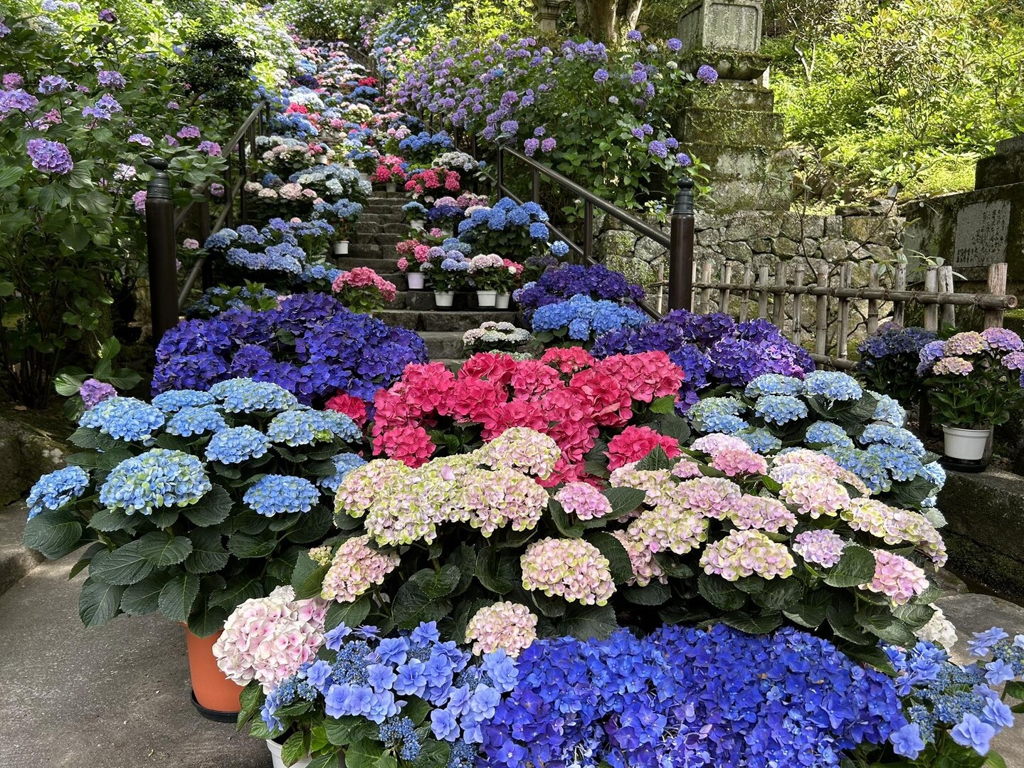 初瀬山・龍王山 / aiueo123さんの三輪山・巻向山・龍王山の活動日記 | YAMAP / ヤマップ