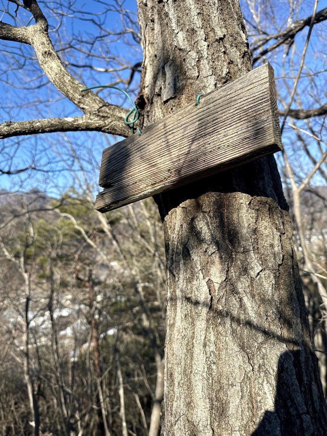 西上州伊勢山に初登頂 / qkaruさんの大桁山・鍬柄岳・御堂山の活動データ | YAMAP / ヤマップ