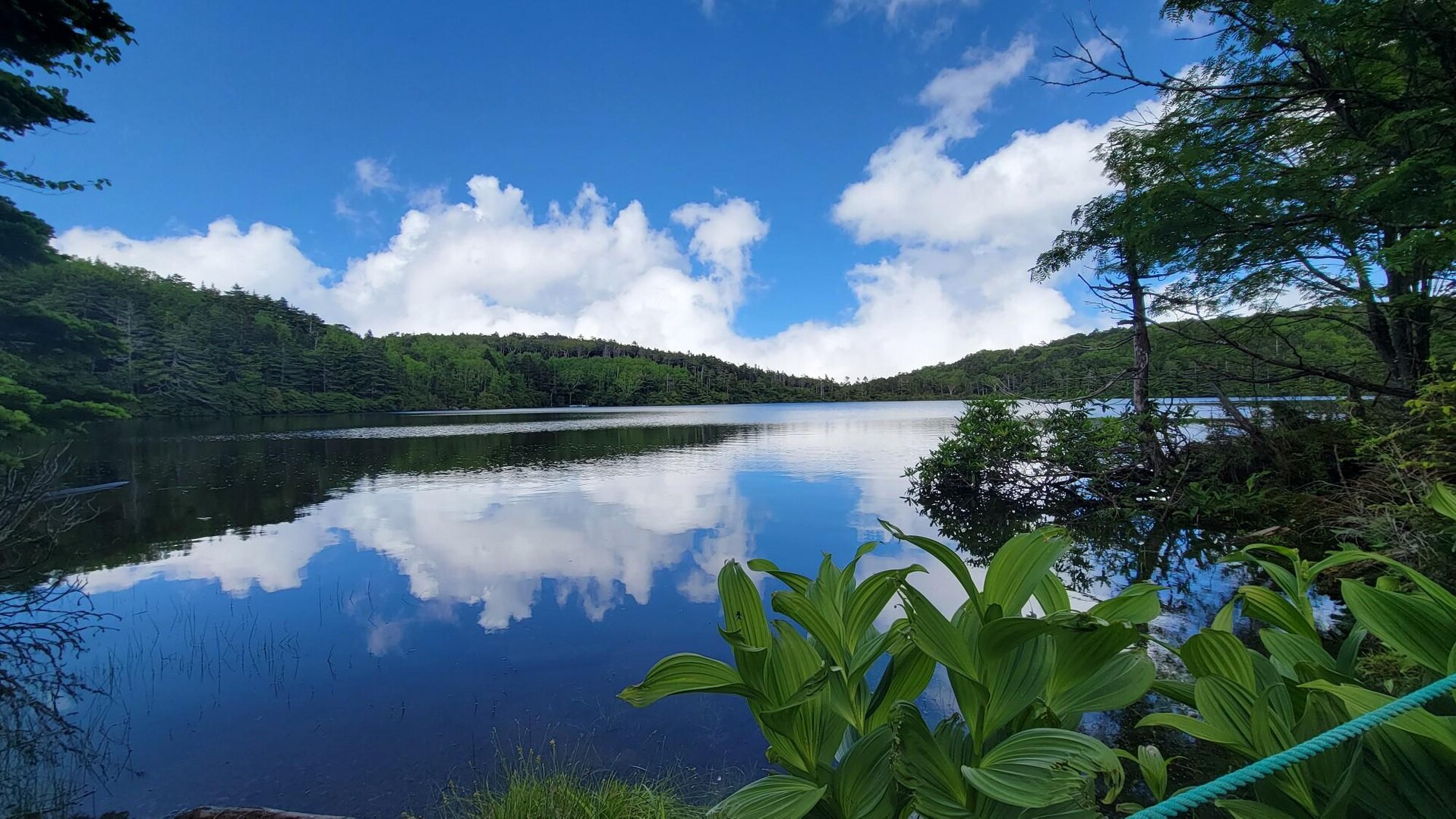ニュウ / SHIHOさんの八ヶ岳（赤岳・硫黄岳・天狗岳）の活動データ | YAMAP / ヤマップ