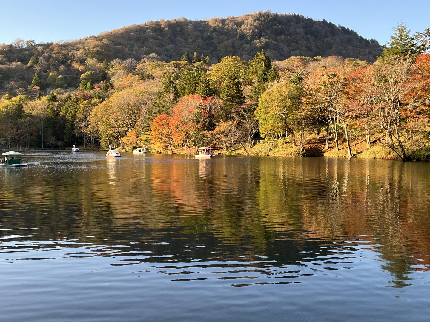 茶臼山 / プリン103さんの蚕霊山・茶臼山の活動データ | YAMAP / ヤマップ