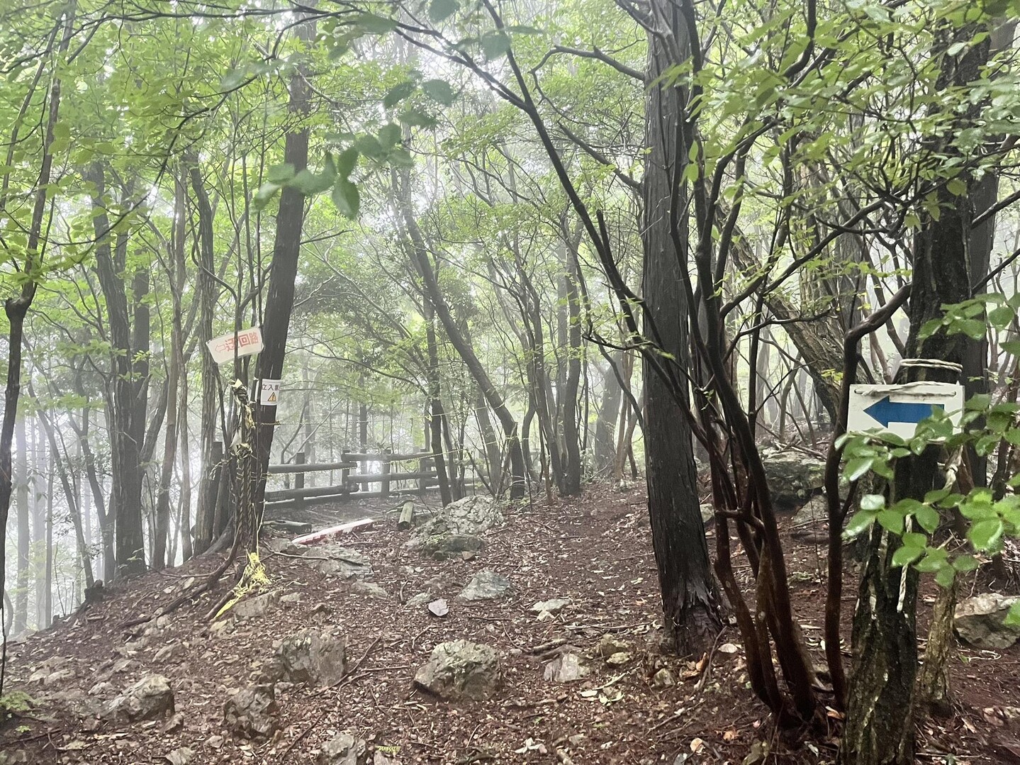 e nakaさんの投稿したフィールドメモ | YAMAP / ヤマップ