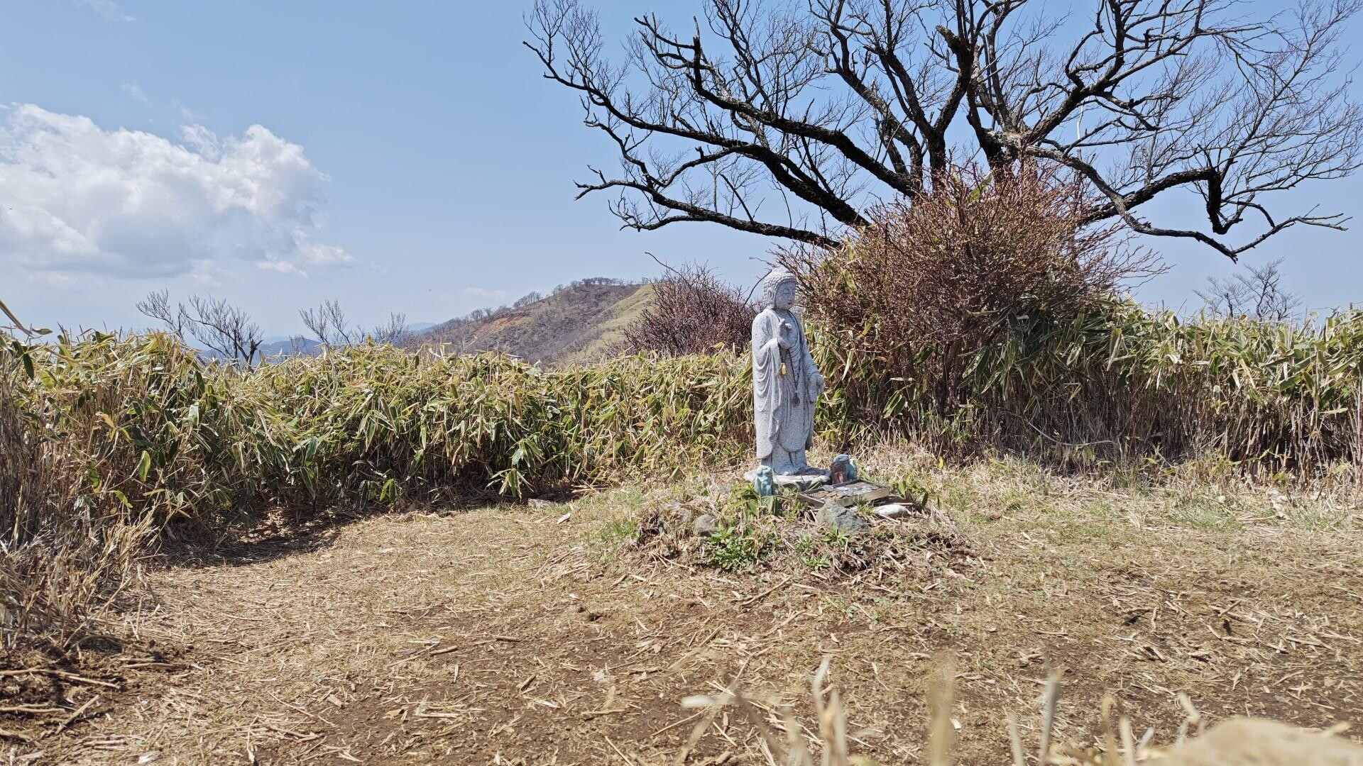 倉田尾根～丹沢山ピストン / tabiriderさんの塔ノ岳・丹沢山・蛭ヶ岳の活動データ | YAMAP / ヤマップ