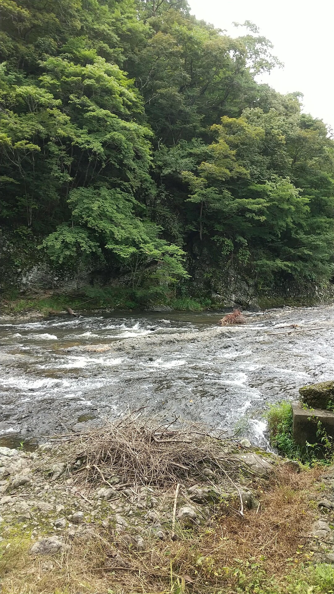 mtkumiさんの投稿したフィールドメモ | YAMAP / ヤマップ