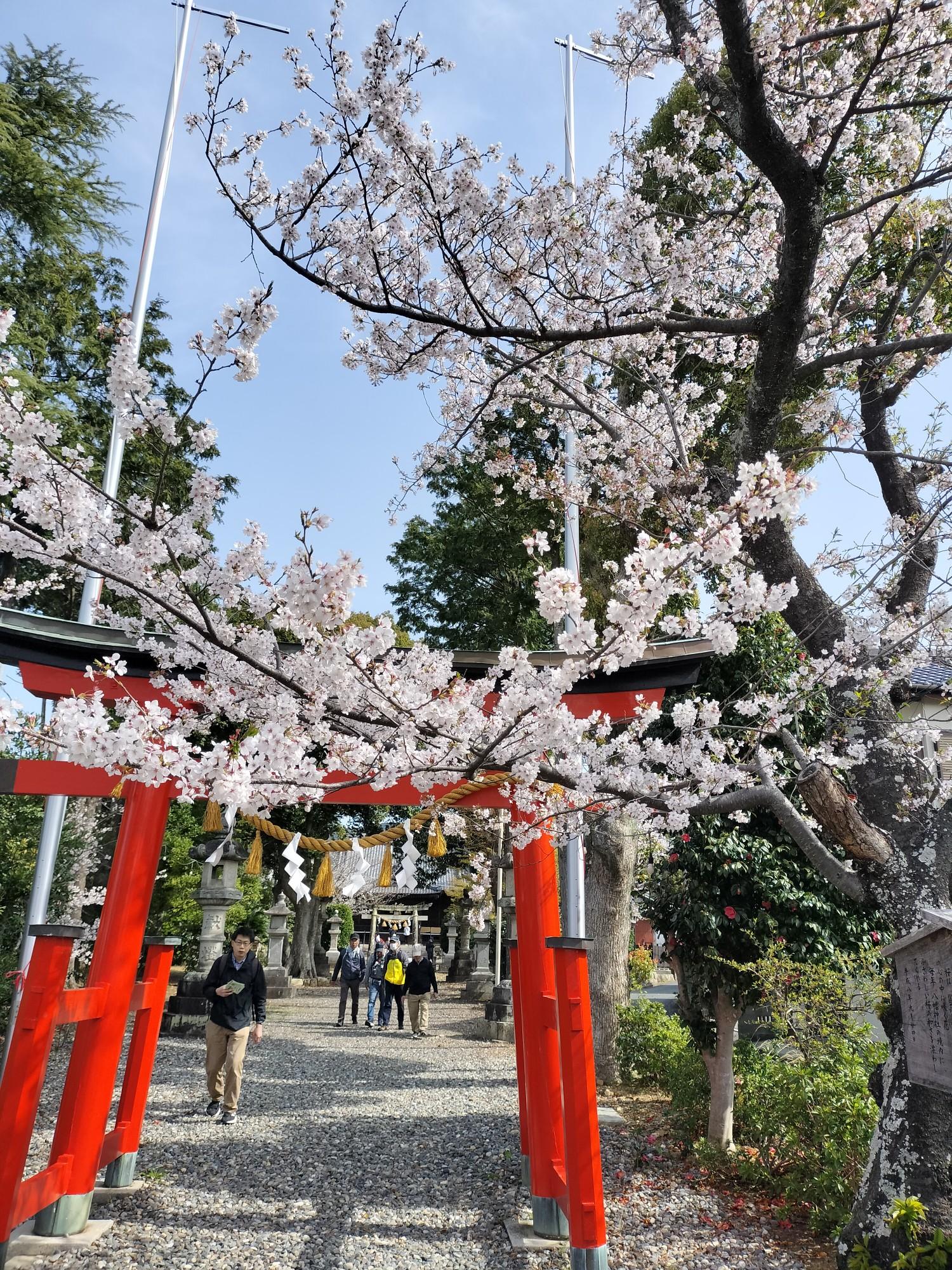 SW 二川 / chuさんのウォーキングの活動データ | YAMAP / ヤマップ