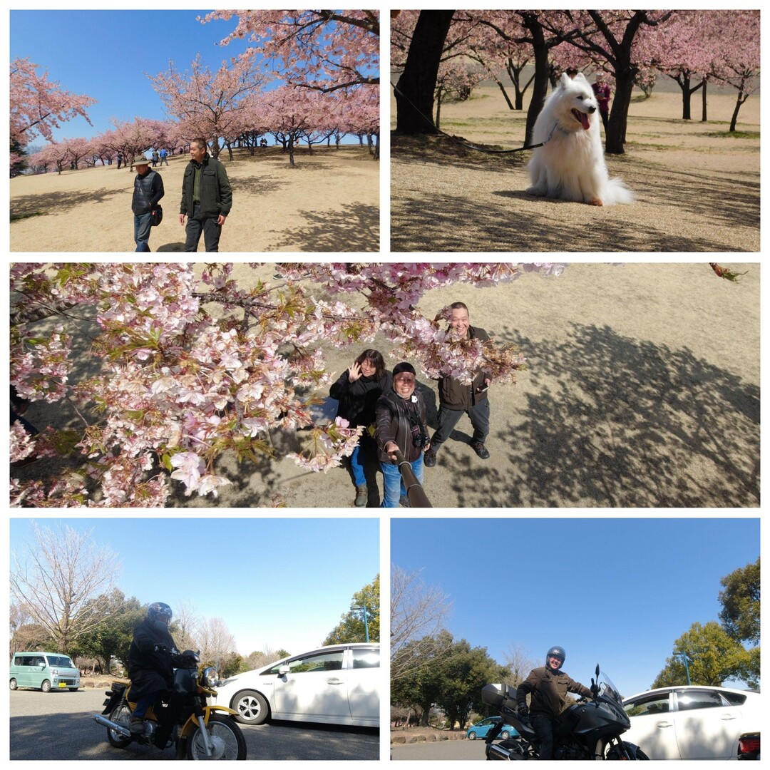 2024年3月15日 GG会メンバーと伊... / くーぱーさんのモーメント | YAMAP / ヤマップ