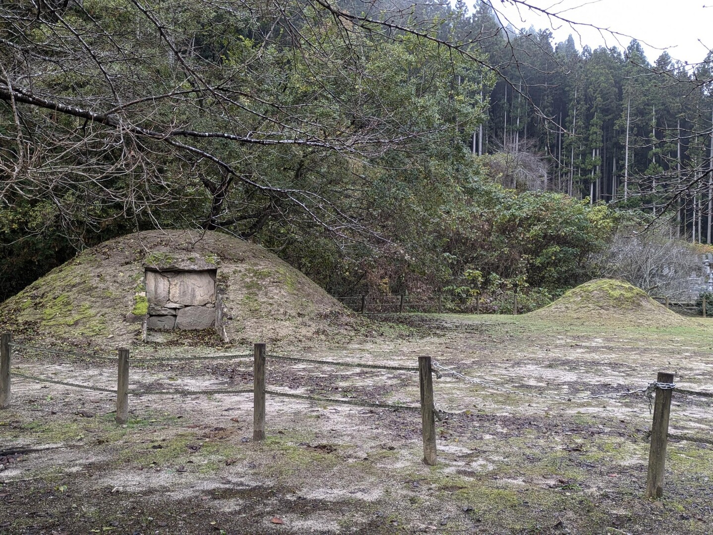 小丸山・津浪丸山 / tentenさんの大丸峯の活動データ | YAMAP / ヤマップ