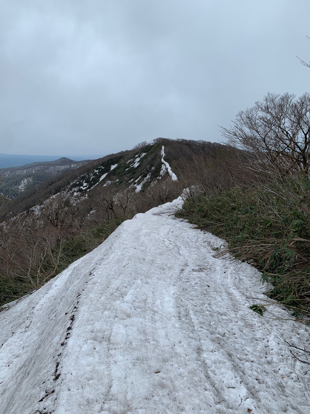 増川岳、藪漕ぎのち雪庇歩き💦 / ZAKUさんの増川岳の活動データ | YAMAP / ヤマップ