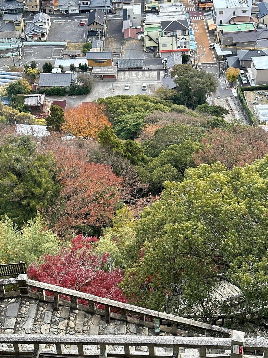 久能山東照宮ウォーキング-2024-12-20 / MARIさんのウォーキングの活動データ | YAMAP / ヤマップ