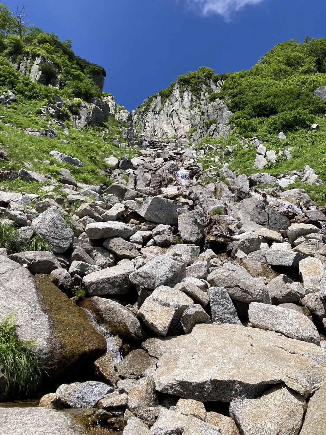 MK 5さんの投稿したフィールドメモ | YAMAP / ヤマップ