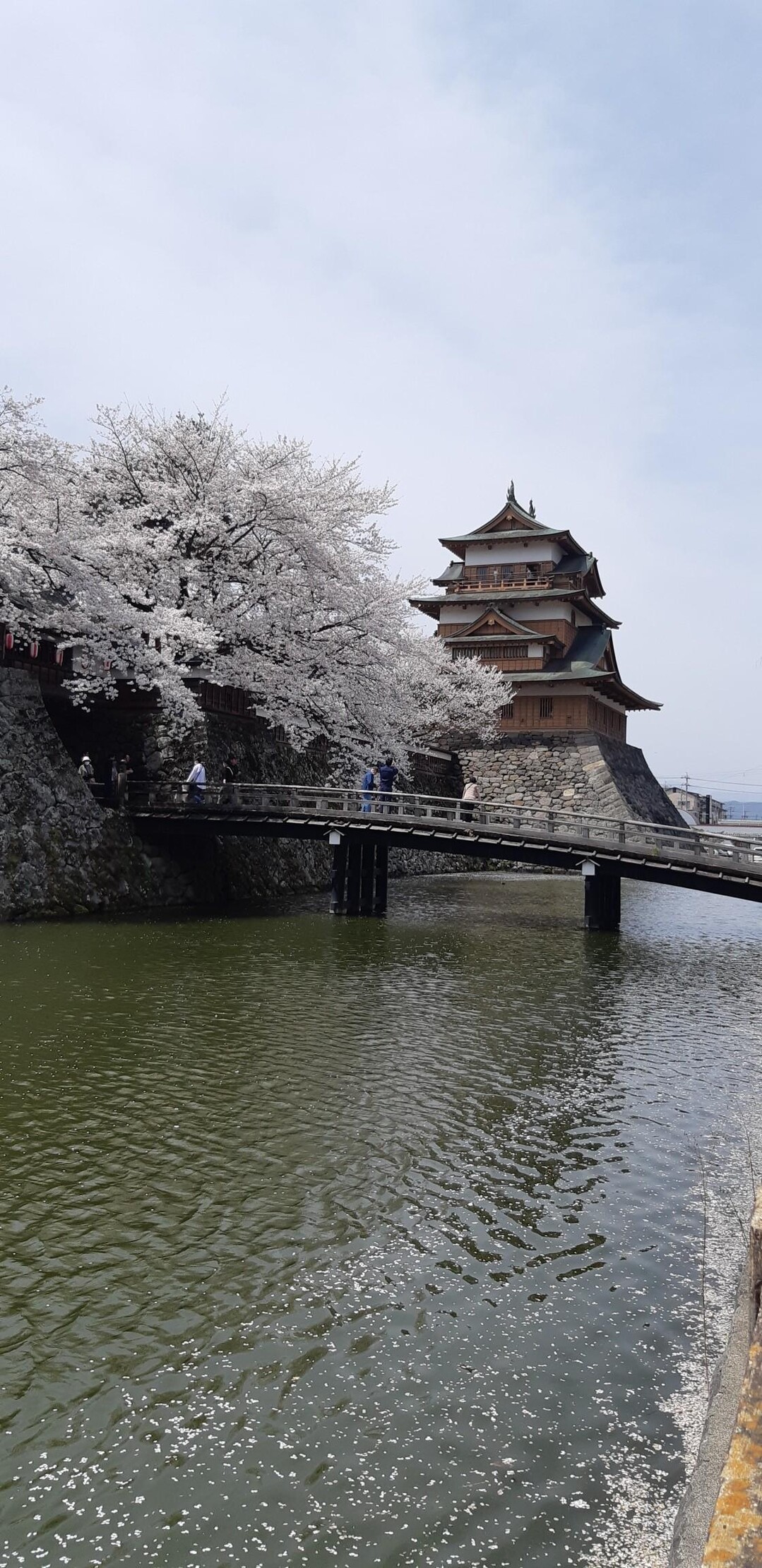 桜満開の高島城と スポーツ公園 今週の... / Heroさんのモーメント | YAMAP / ヤマップ