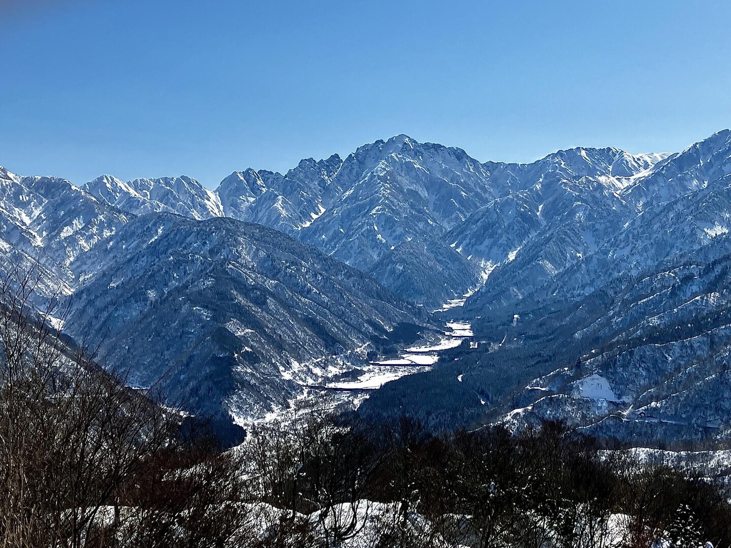 千石城山 雪を纏ったキング👑と対面😎 / ZSYさんの大辻山・高峰山・来拝山の活動データ | YAMAP / ヤマップ