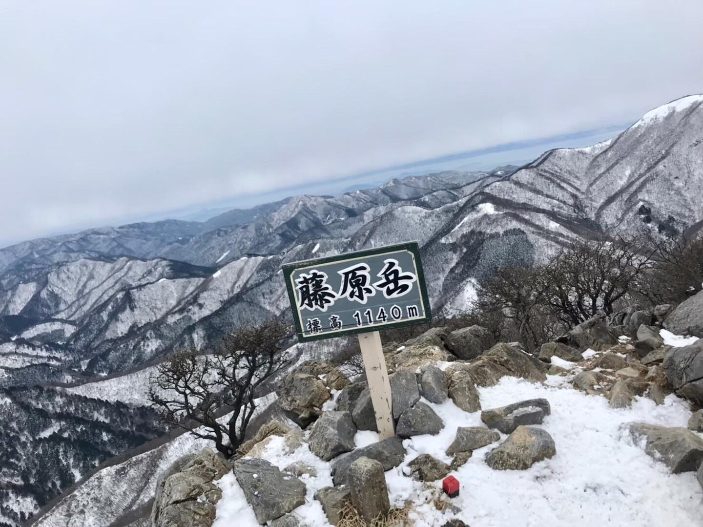 関西百名山NO。14藤原岳 / アラレさんの藤原岳・御池岳の活動日記 | YAMAP / ヤマップ