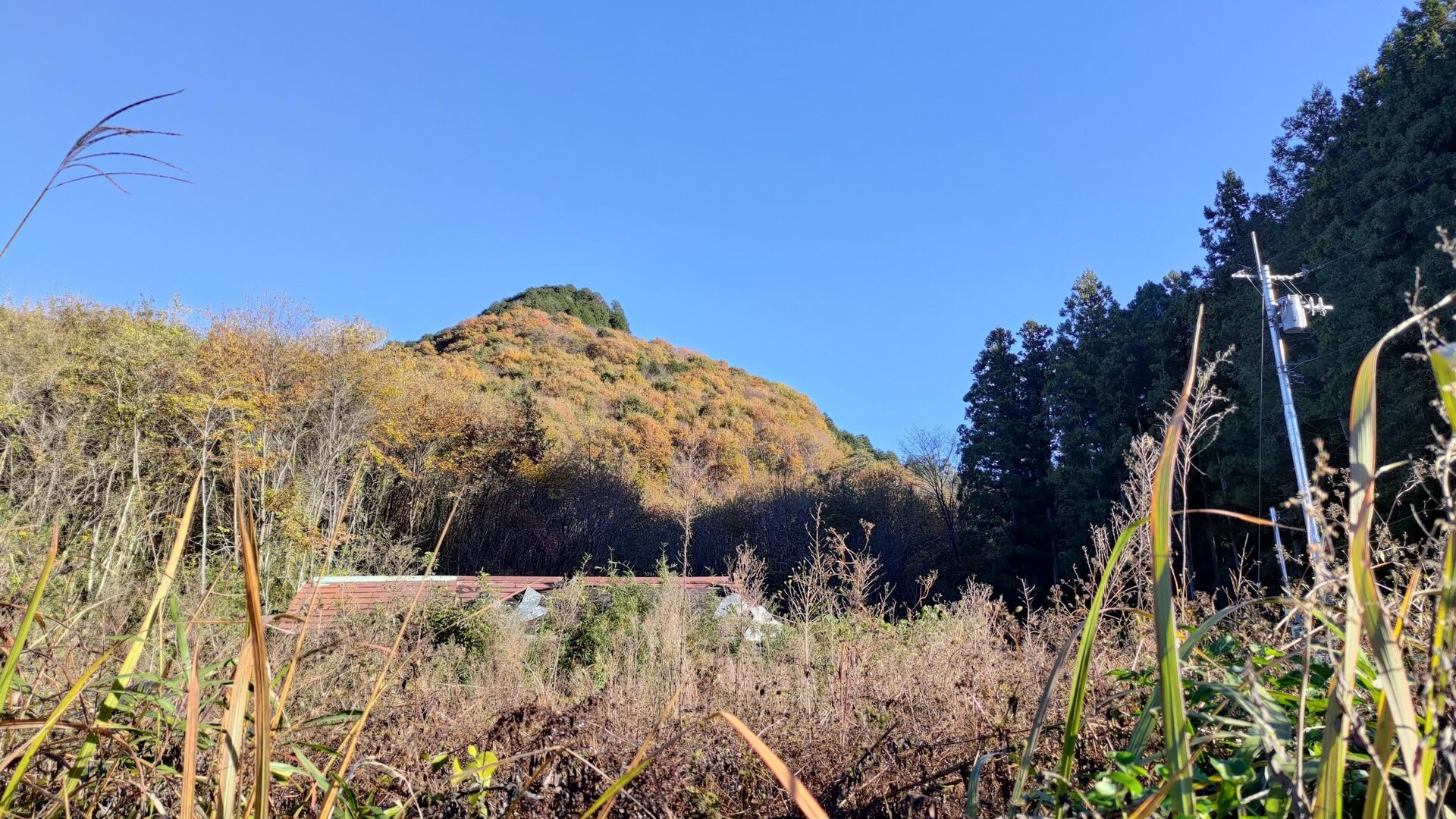 八瓶山・花香月山 / eddyさんの焼森山・鶏足山の活動データ | YAMAP / ヤマップ