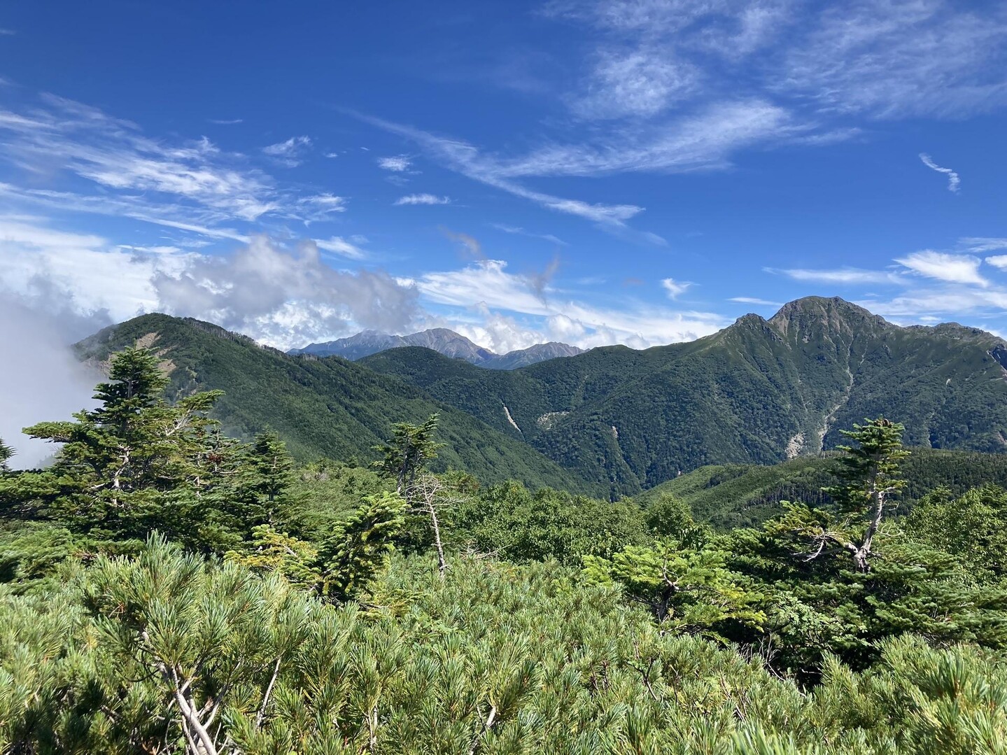 塩見岳 / Qooちゃん2さんの塩見岳・権右衛門山・蝙蝠岳の活動日記 | YAMAP / ヤマップ