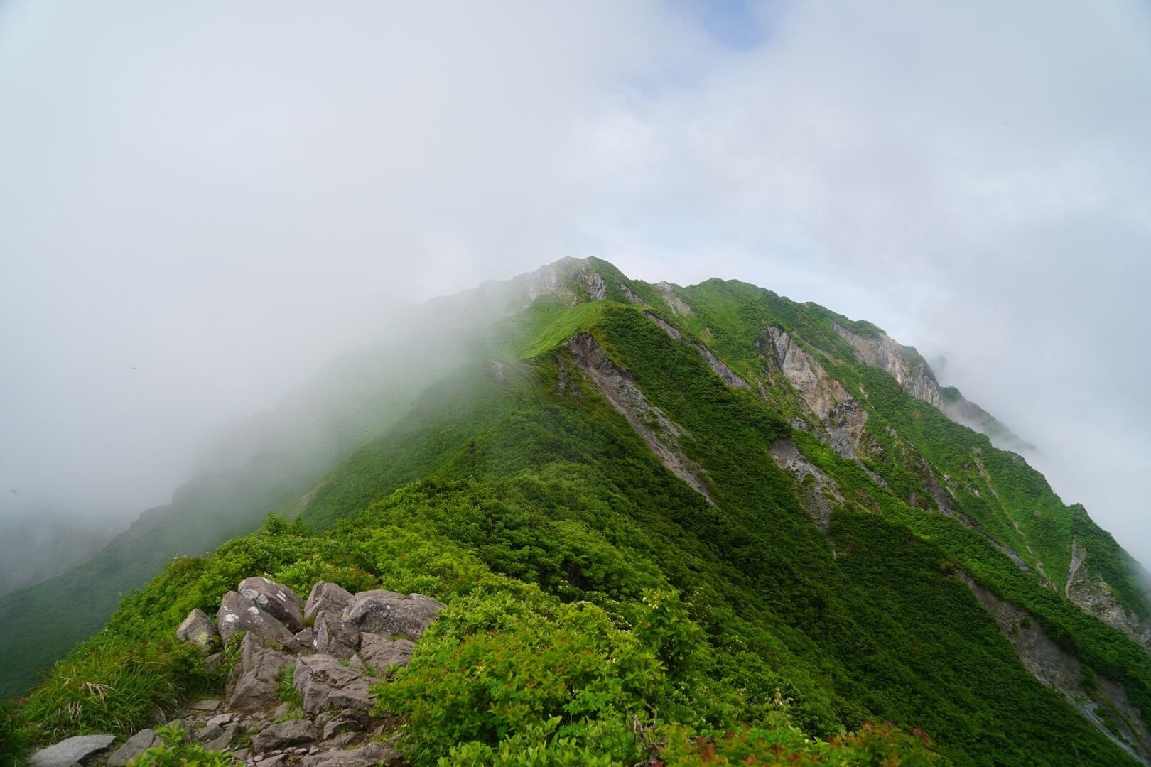 大山 縦走！ / Sho-Taさんの大山・甲ヶ山・野田ヶ山の活動データ | YAMAP / ヤマップ
